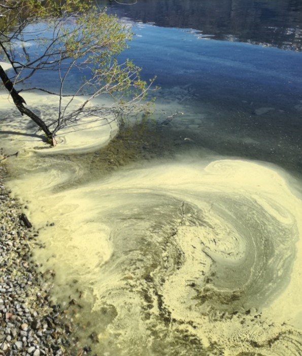 Water pollution - should I call the Pollution Hotline?