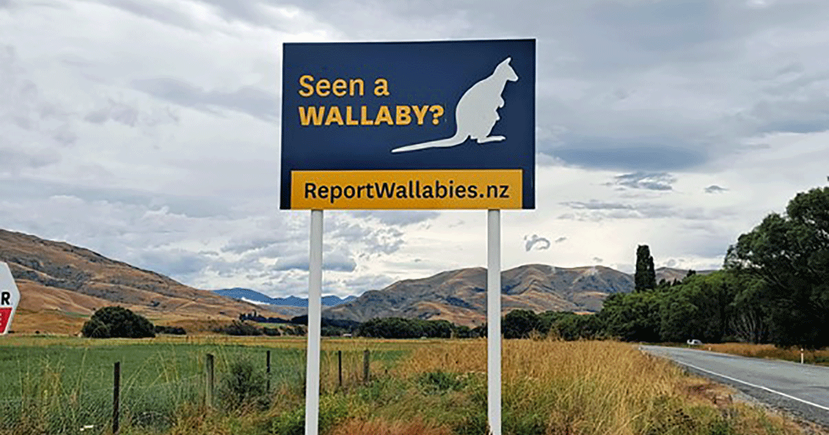 Street Signs In New Zealand at Dennis Fleming blog