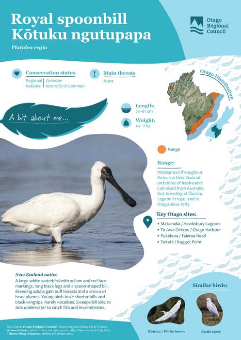Birds of Otago