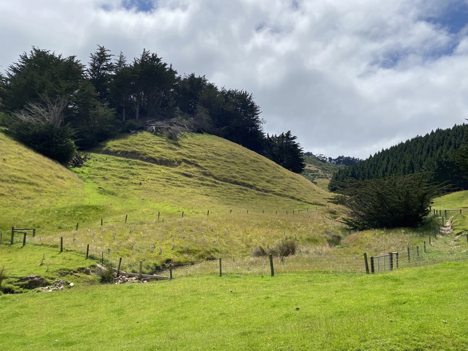 Tomahawk Lagoon | Otago Regional Council