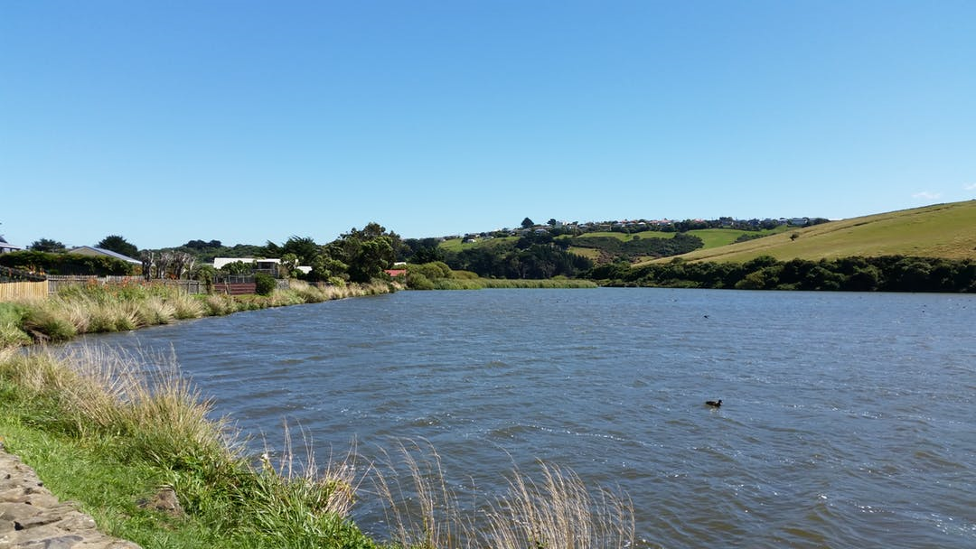 ORC wants your help to prioritise projects for Tomahawk Lagoon