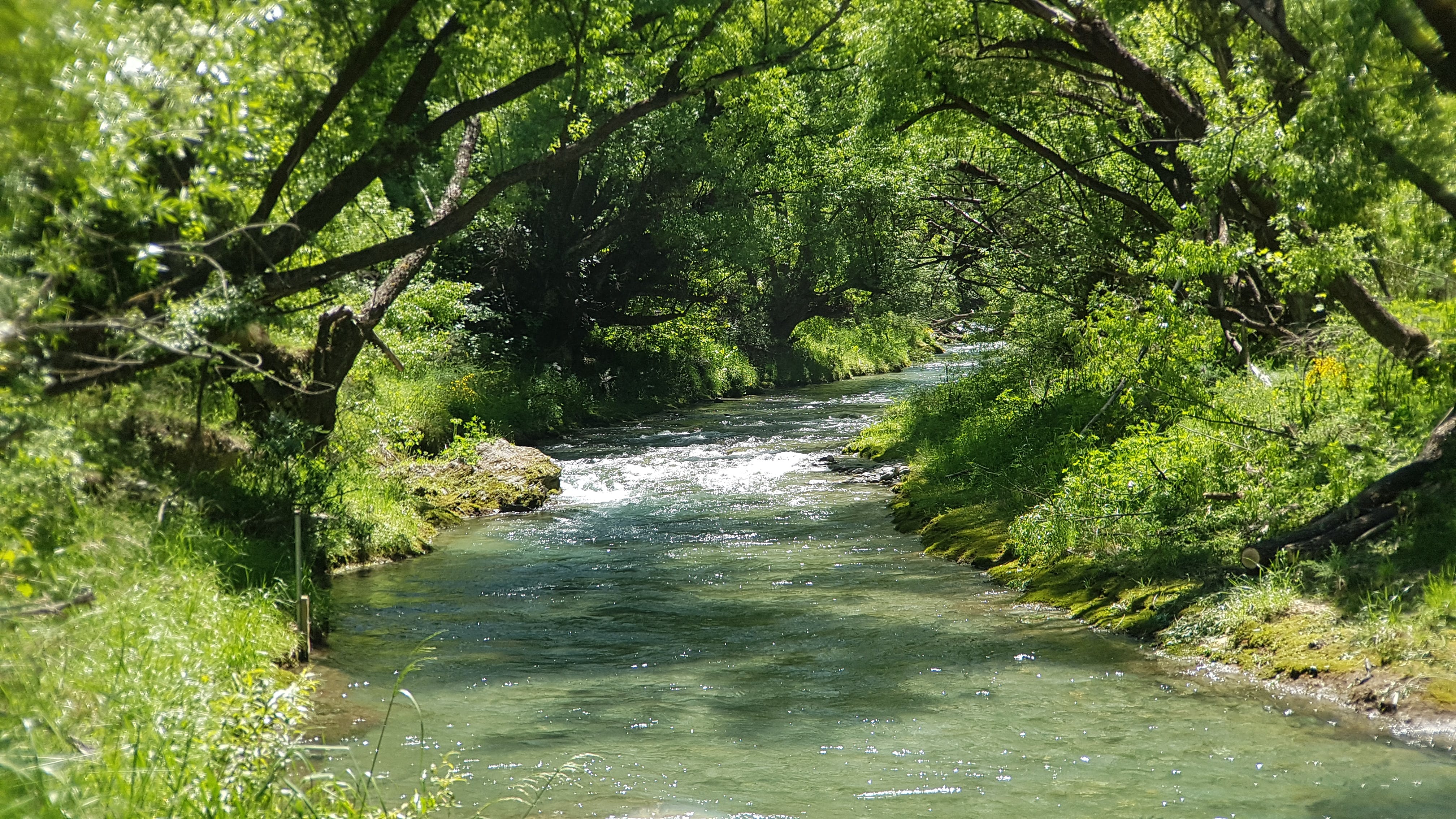 Ministry for the Environment announces action plan for healthy waterways