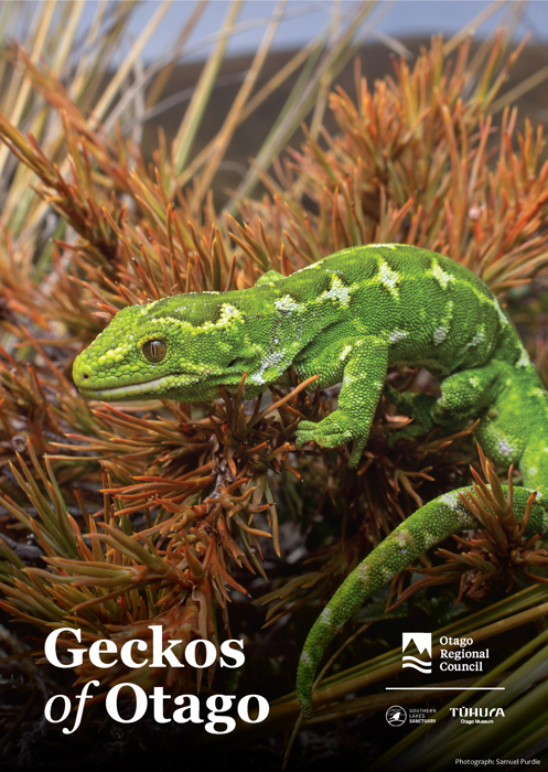 Otago’s skinks, gecko and tuatara