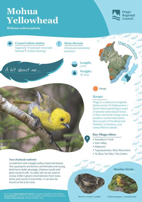 Birds of Otago