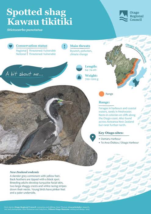 Birds of Otago