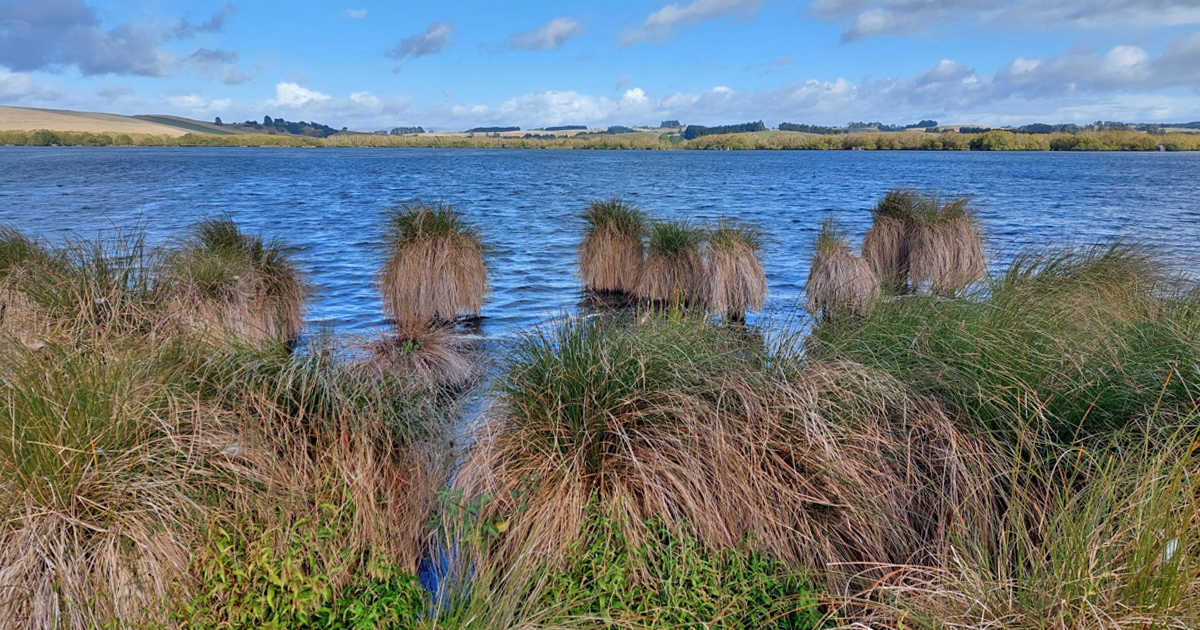 Roto-Nui-a-Whatu / Lake Tuakitoto Catchment Project