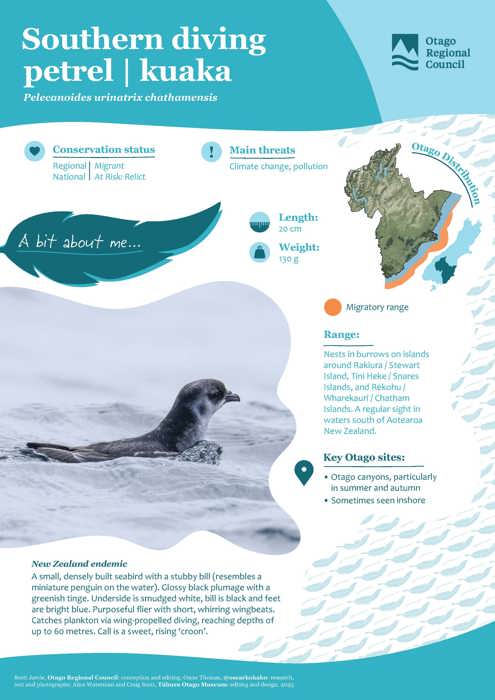 Birds of Otago