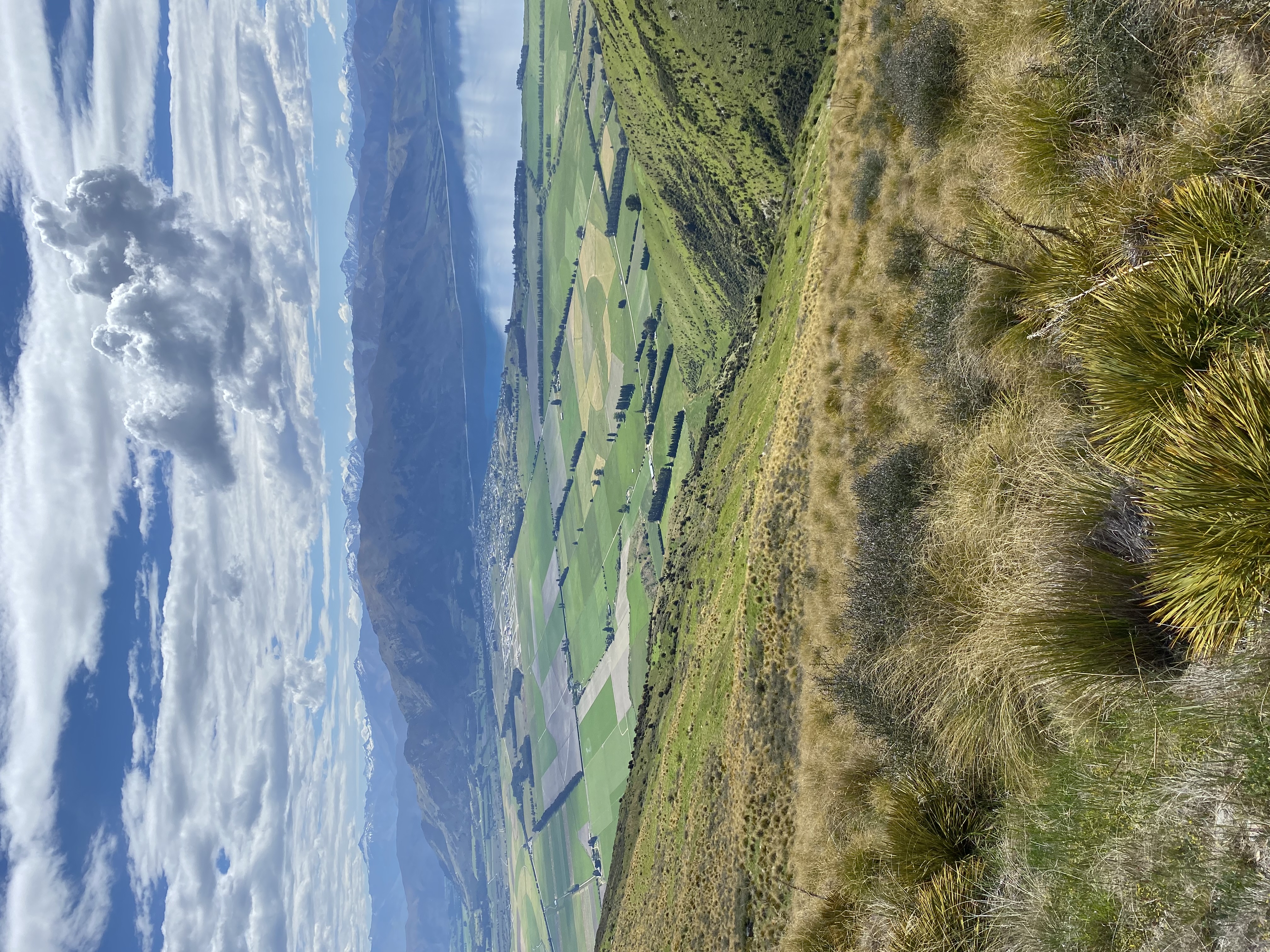 Land use in Otago