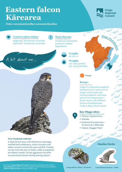 Birds of Otago